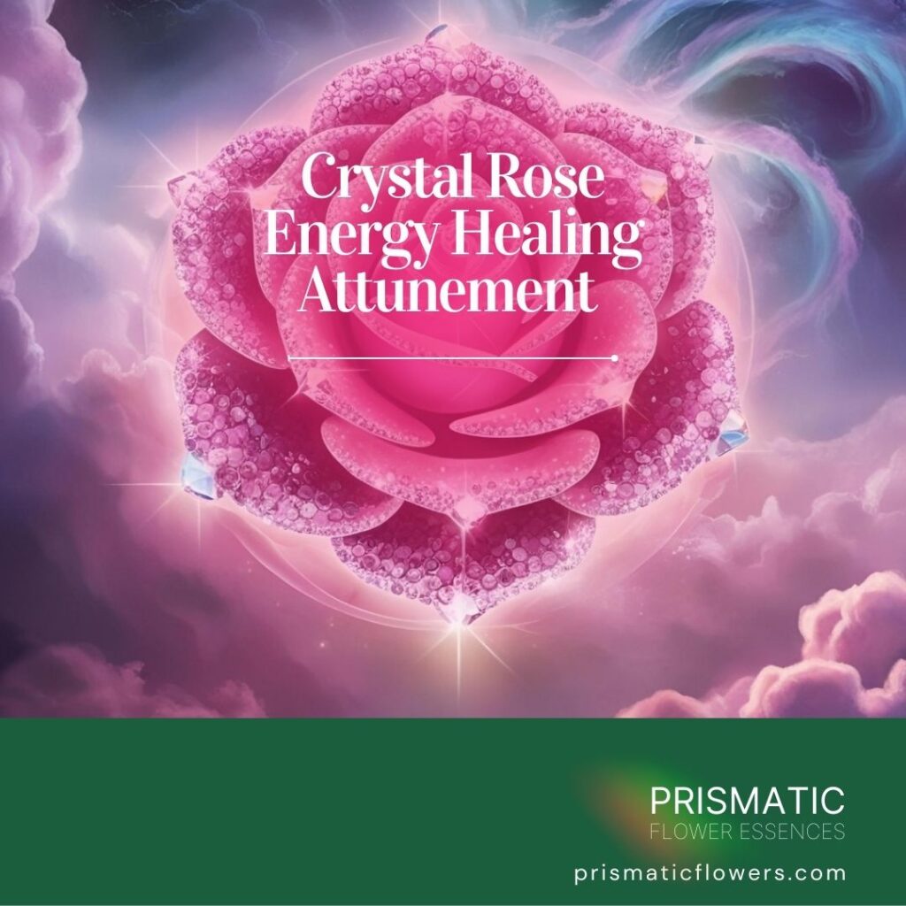 Crystal Rose Energy Healing Attunement – Prismatic Flower Essences